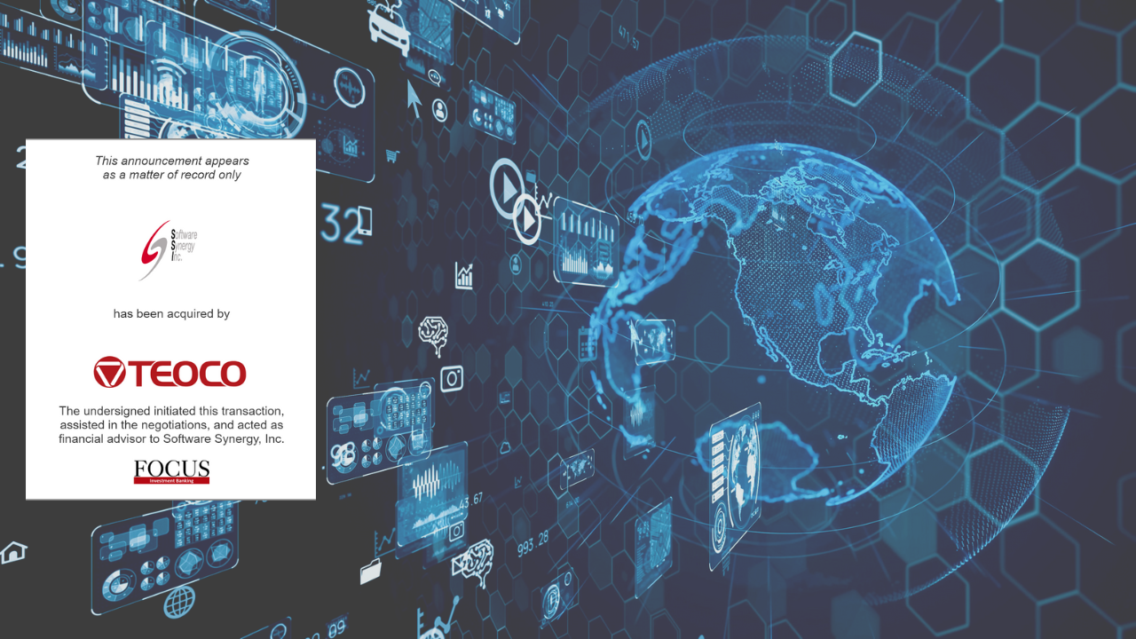 Software Synergy Case Study | FOCUS Investment Banking LLC